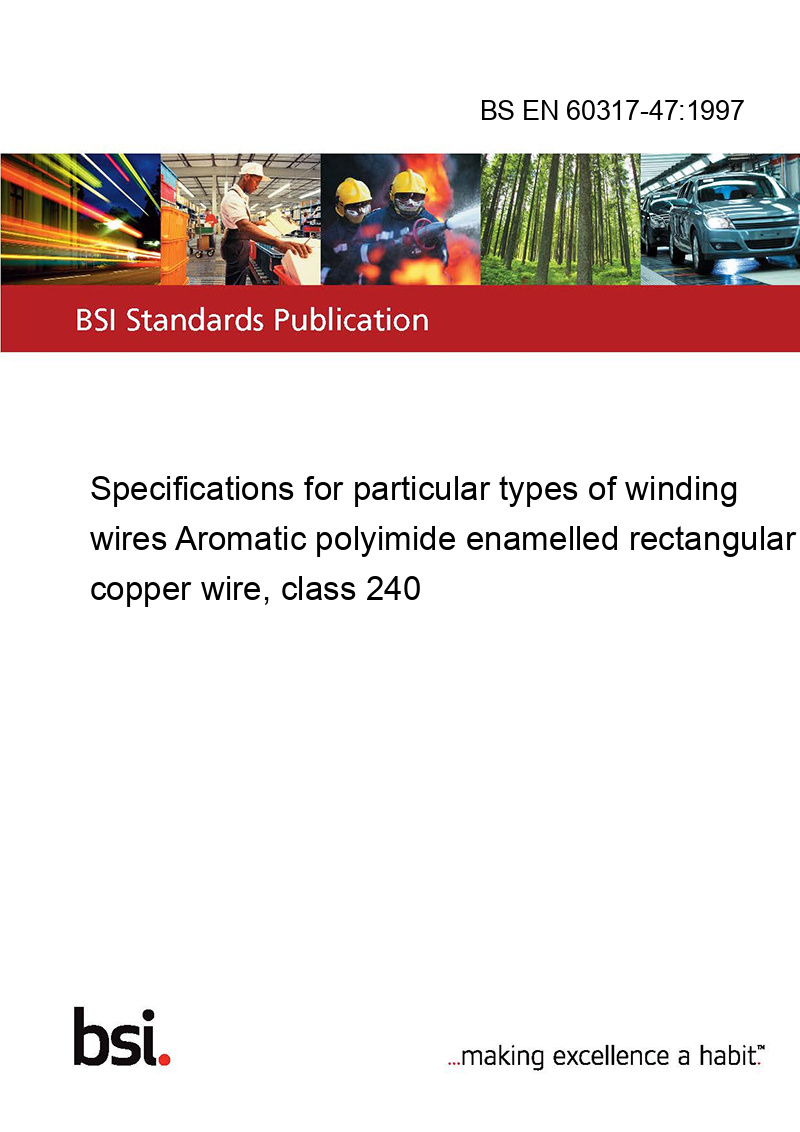 BS EN 60317-47:1997 Specifications for particular types of winding ...