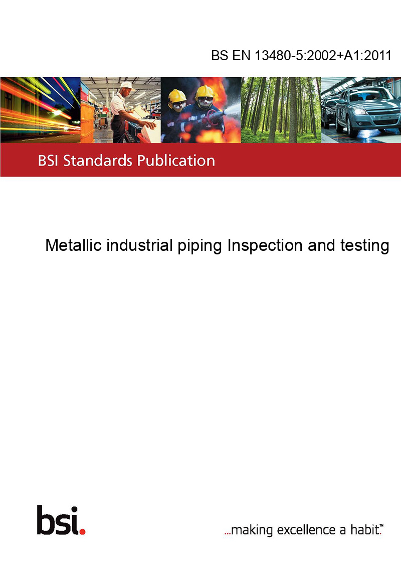 BS EN 13480-5:2002+A1:2011 Metallic industrial piping Inspection and ...