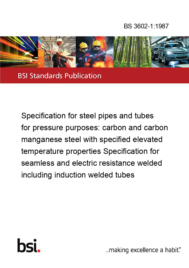 BS 3602-1:1987 Specification for steel pipes and tubes for pressure ...