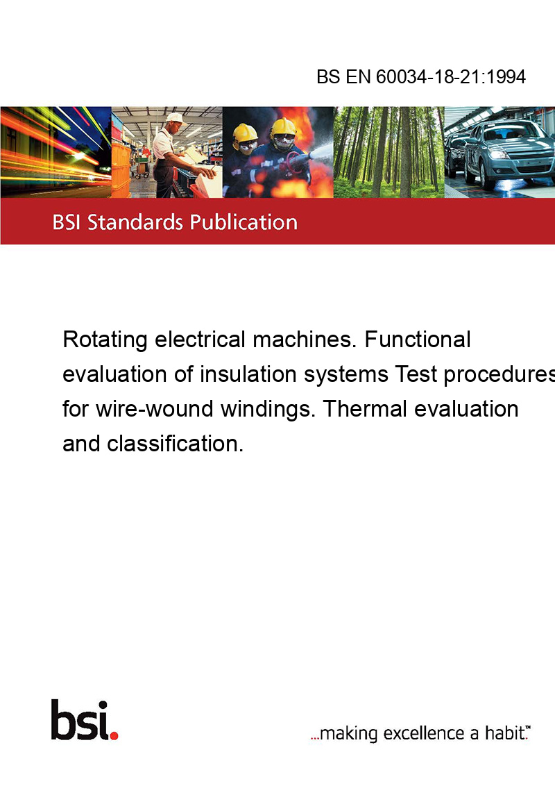 BS EN 60034-18-21:1994 Rotating electrical machines. Functional ...