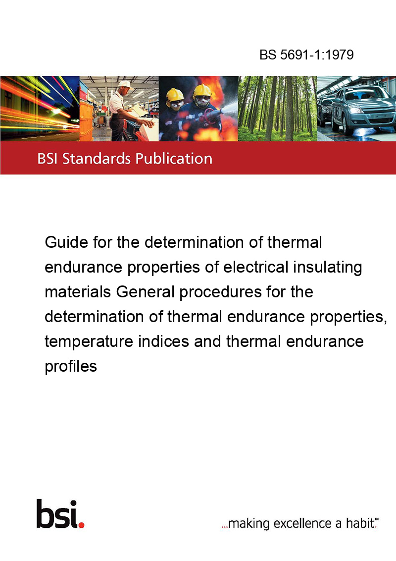 BS 5691-1:1979 Guide for the determination of thermal endurance ...