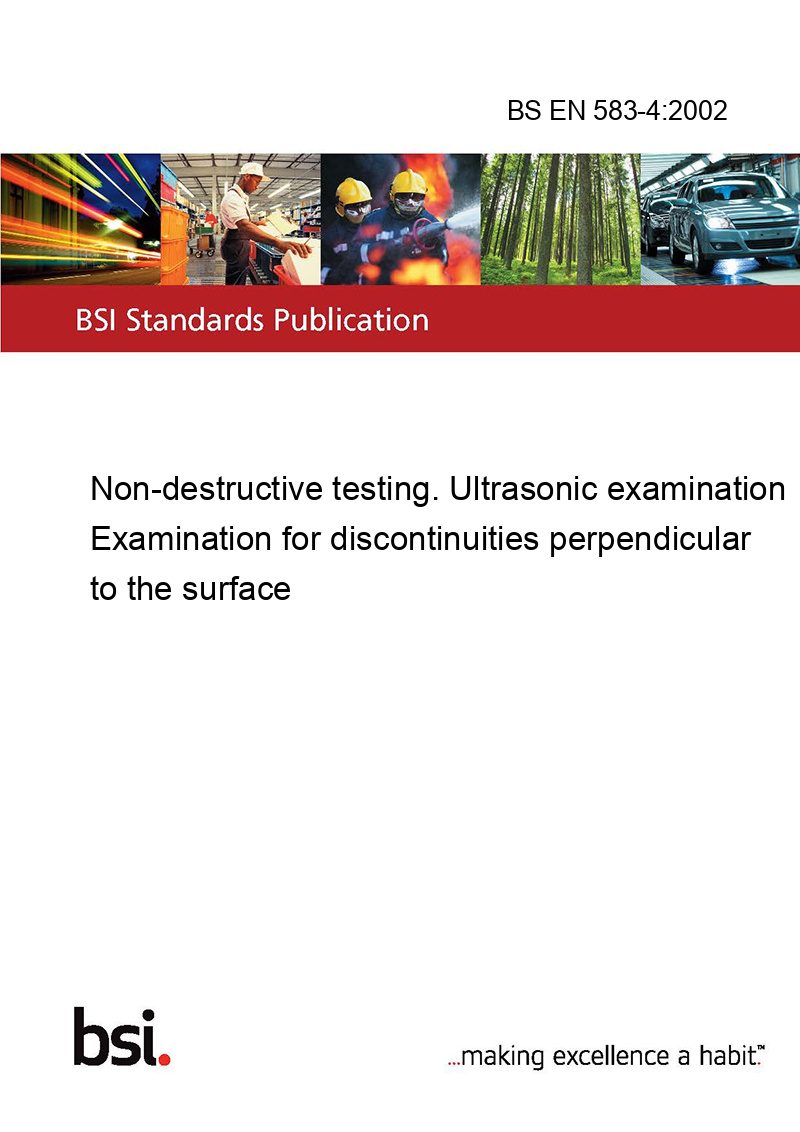 BS EN 583-4:2002 Non-destructive testing. Ultrasonic examination ...