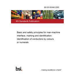 BS EN 60446:2000 Basic and safety principles for man-machine interface ...