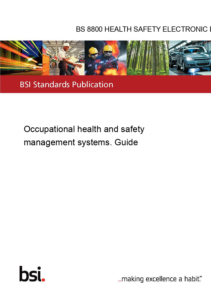 BS 8800 HEALTH SAFETY ELECTRONIC BOOK Occupational health and safety ...